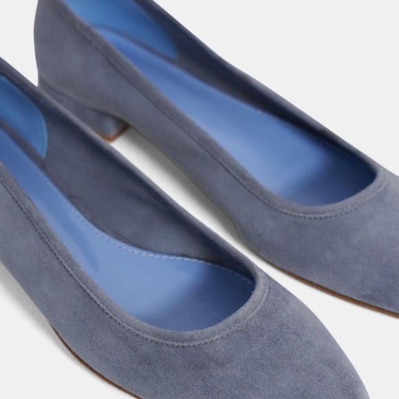 Theory | Shoes | Theory Blue Suede Goatskin Size 36 Nwt Elegant And ...
